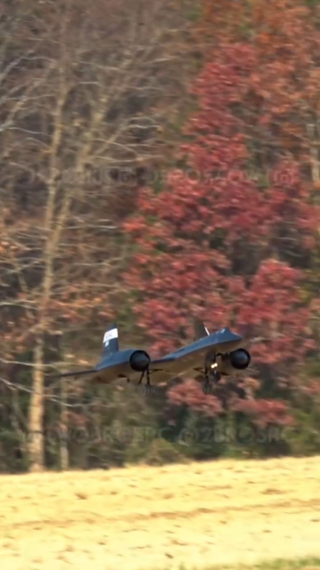 How to fly the SR-71 Blackbird RC without crashing