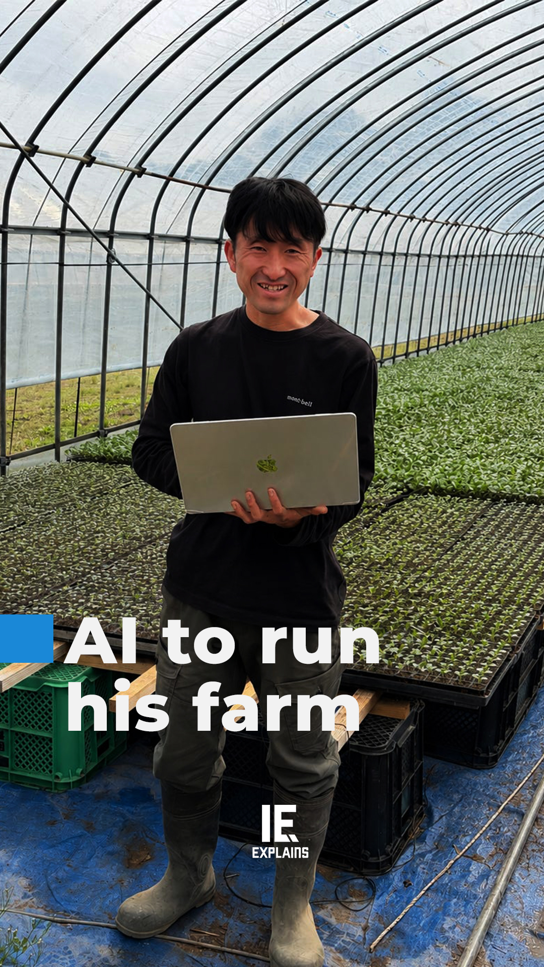 This man runs a broccoli farm in Japan using generative AI
