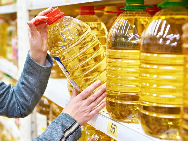 India's edible oil imports up 6.7 per cent in May to 13.39 lakh tonnes