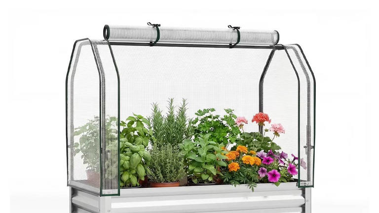 Walmart's $70 mini greenhouse: Perfect for growing summer veggies at home