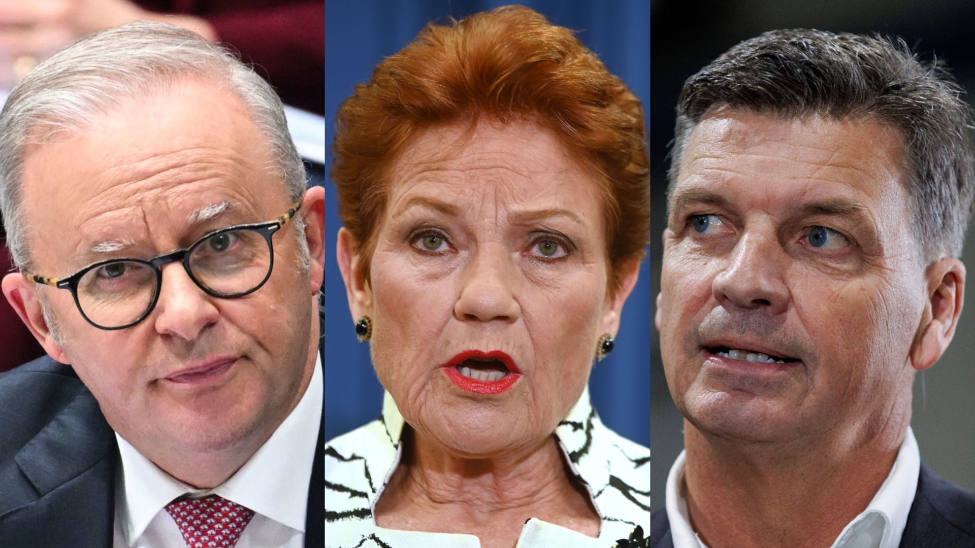 Labor and Coalition in 'blind panic' over success of One Nation's ...