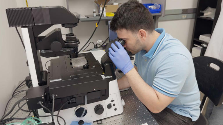 UT Austin researchers create nanoscale Longhorn using DNA origami