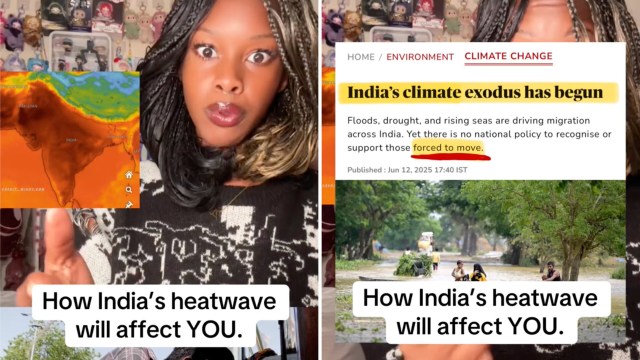 'The heat wave in India will affect you': Viral TikTok warns of food ...
