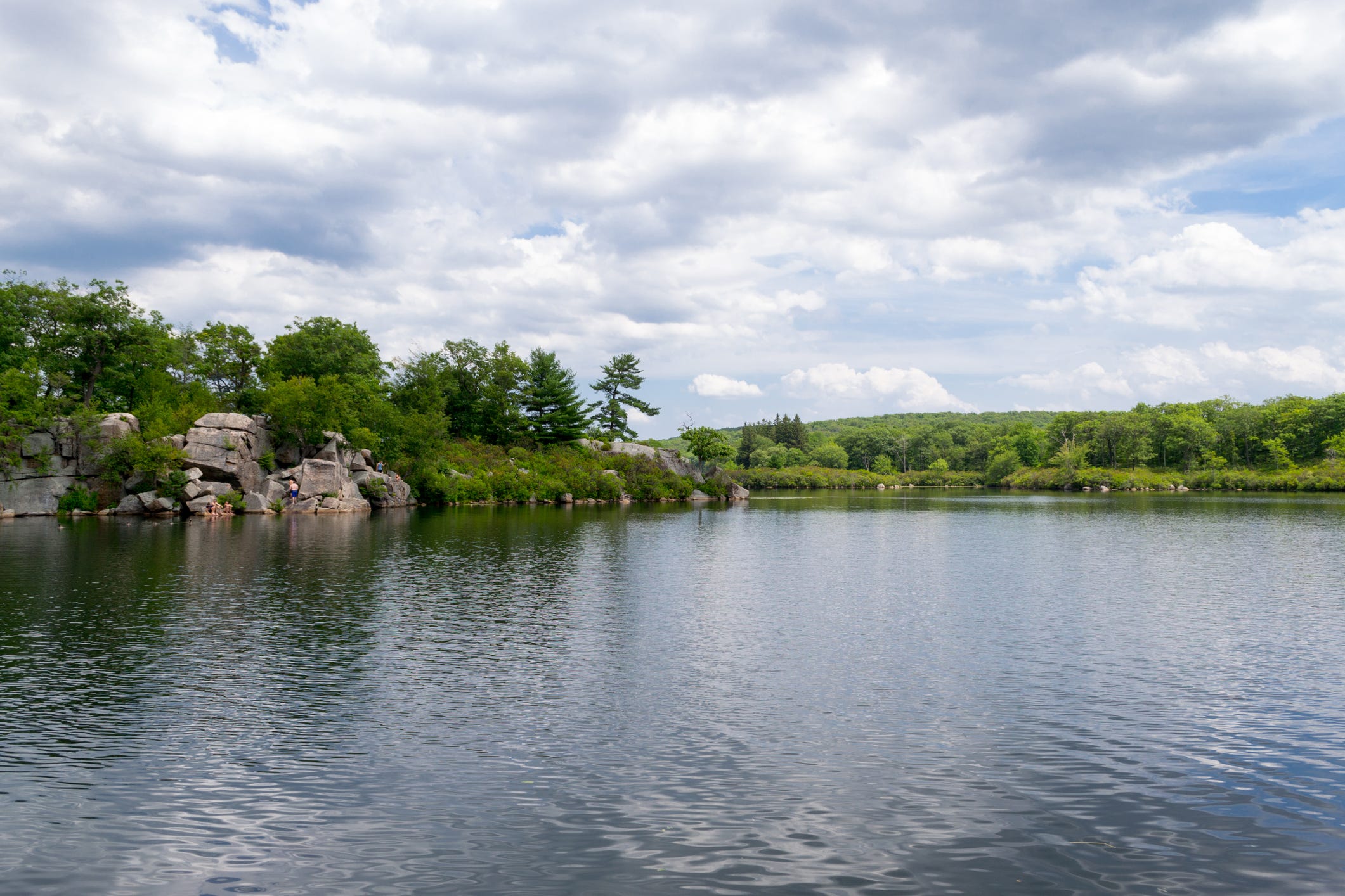 Algal bloom forces closure at NY state park beach