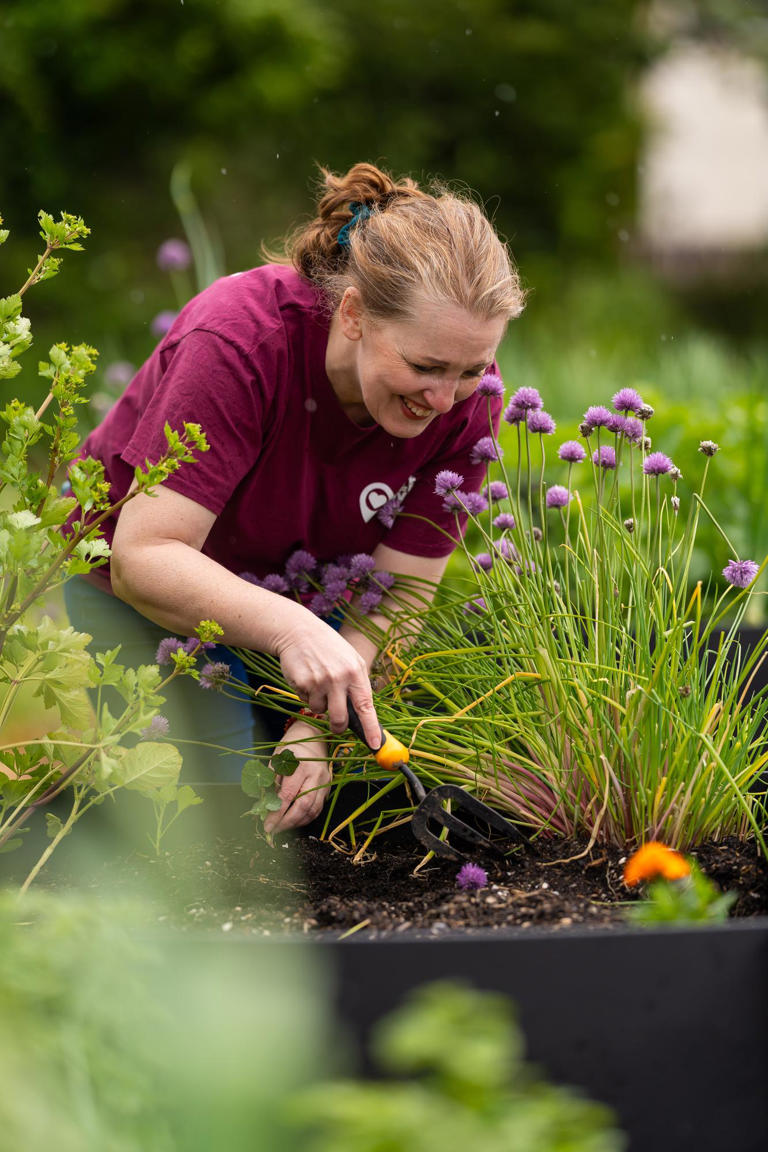Small grants return for 2026 following £158,000 investment in 2025 ...