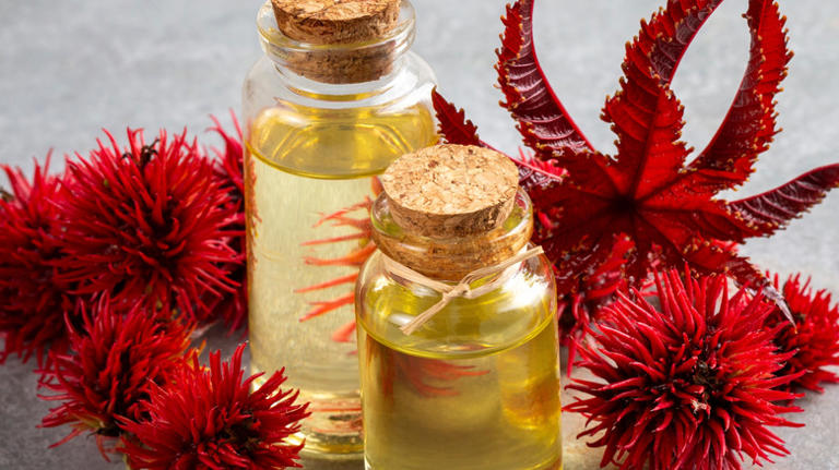 When you put castor oil in your belly button, this is what happens