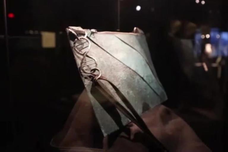 ‘T-rex’ bag made with collagen from dinosaur fossil goes up for sale