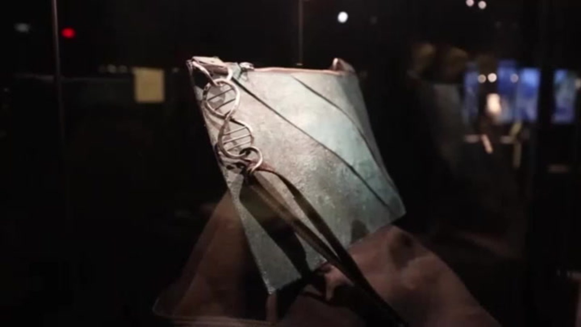 T-rex leather handbag made with collagen from dinosaur fossil goes up ...