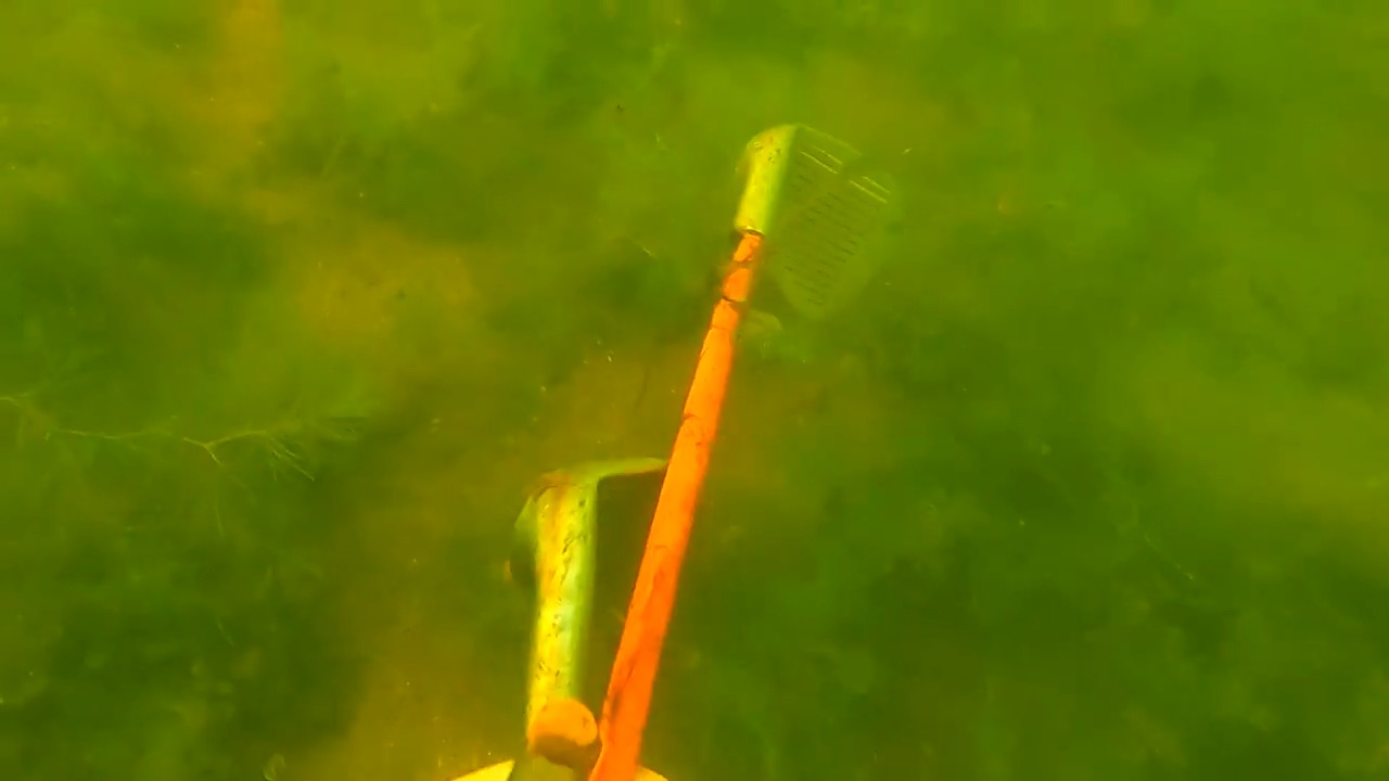 A golf course said 5,000 clubs were dumped - "In this river" - then ...