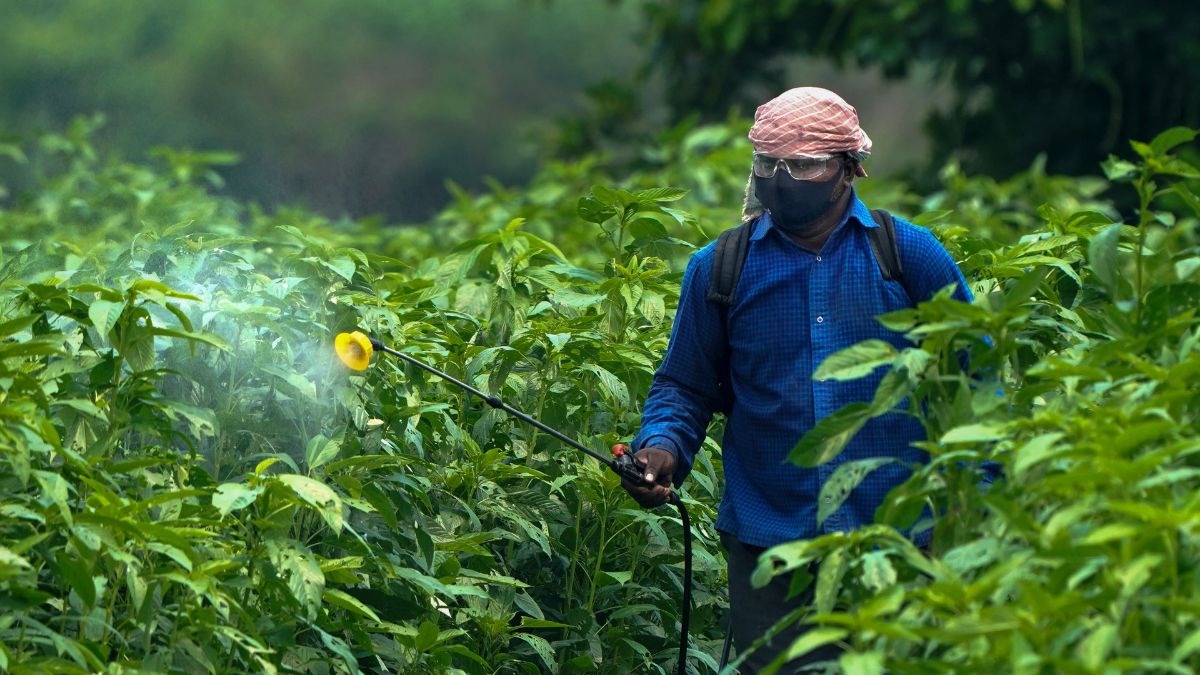 Vietnam war-era herbicide 2,4-D still used on fields. Why is its cancer ...