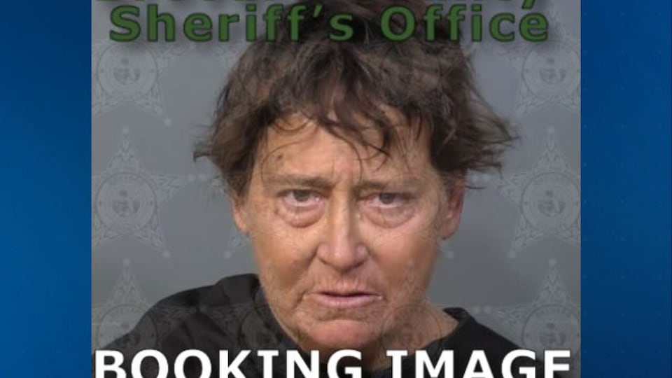 Woman arrested for alleged attempt to hit children with car in Cocoa