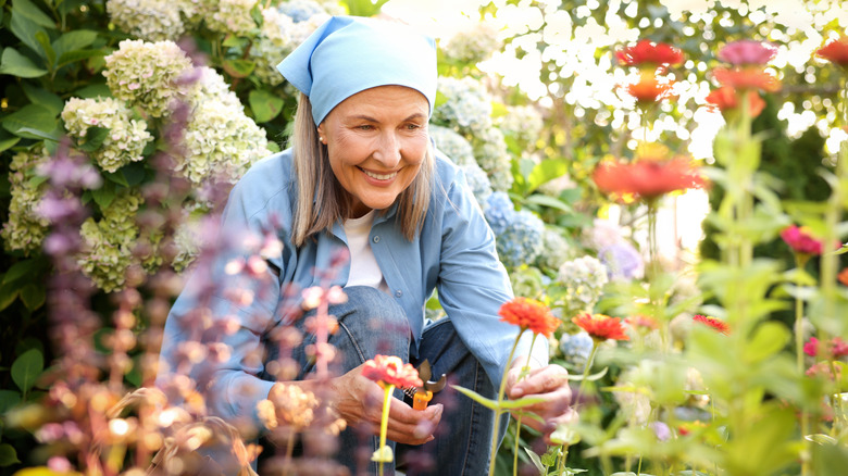 14 summer flowers to sprout from seed for a last-minute garden