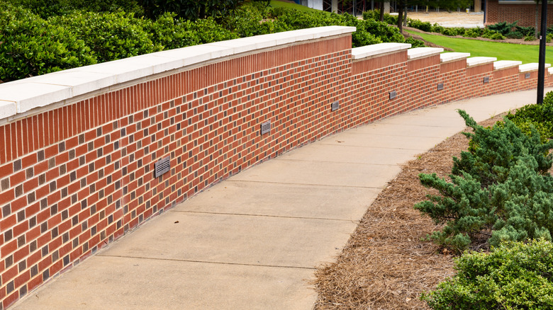 Not brick or slate: The retaining wall material that adds privacy ...