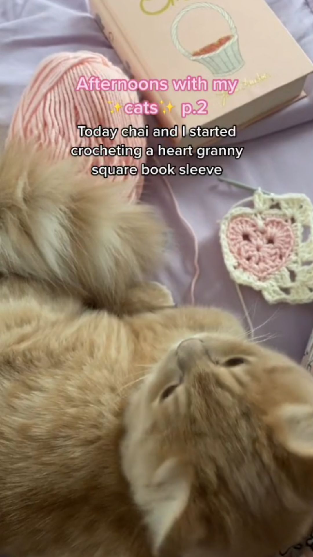 Handmade book sleeve crochet project: Tutorial soon