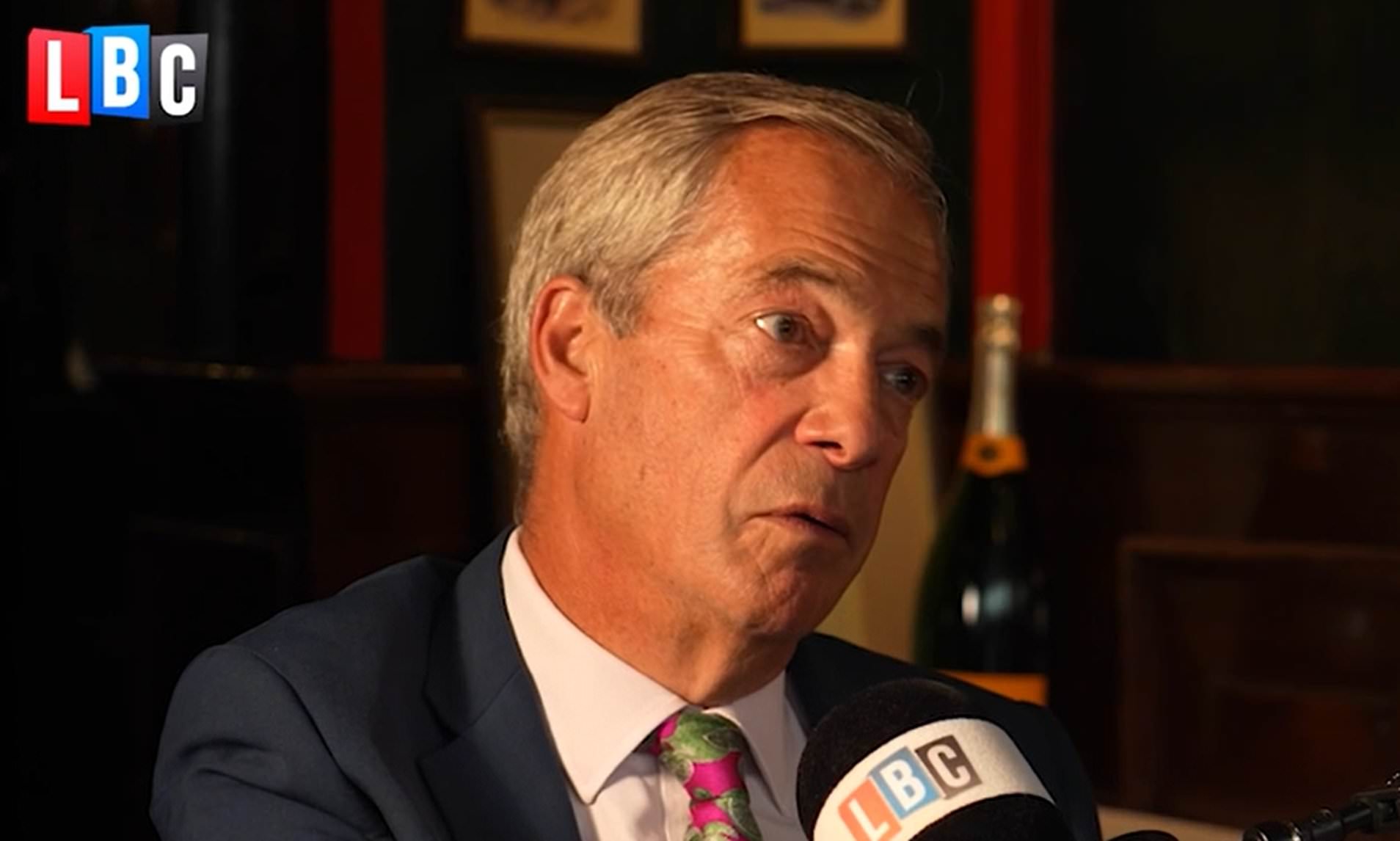 Nigel Farage admits even his mother occasionally tells him to 'rein it in'