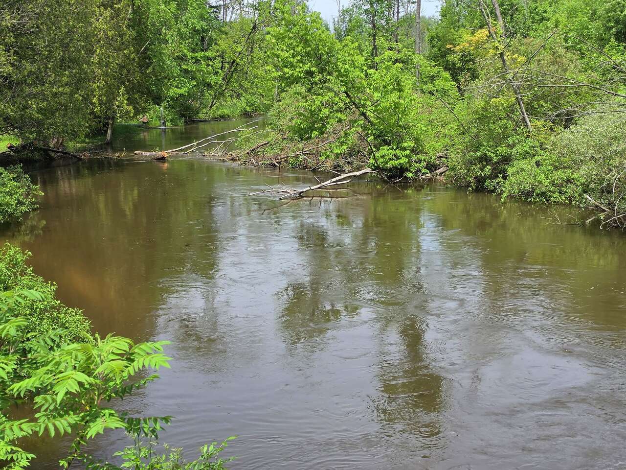 Weekend kayak rescue highlights hazards on Betsie River