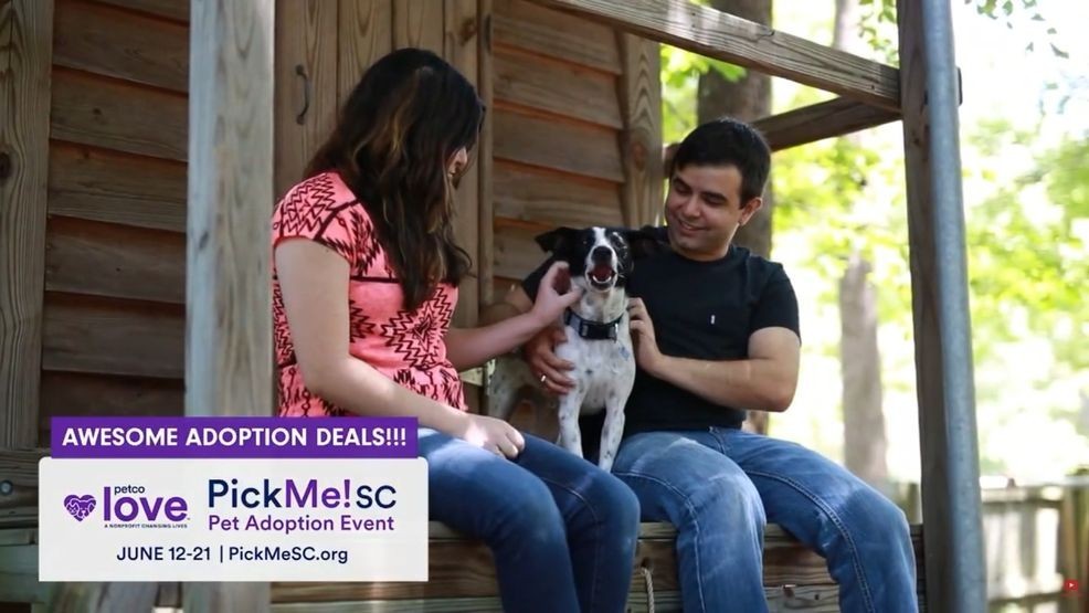 PETCO Love Pick SC adoption event begins across the Palmetto State