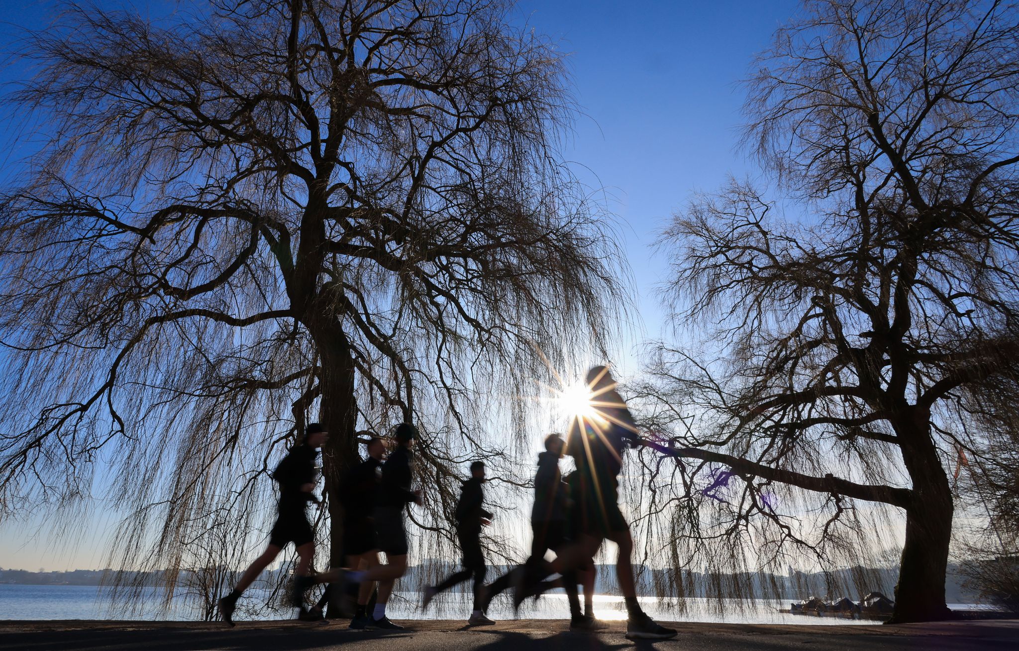Better than the bike: Bursts of running found to boost immune system