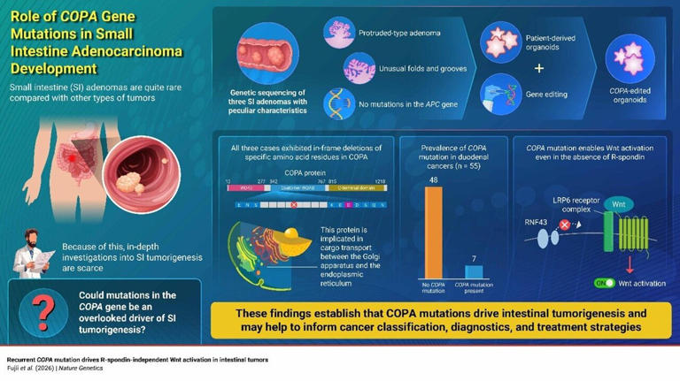 COPA mutations reveal alternative trigger for small intestine tumors