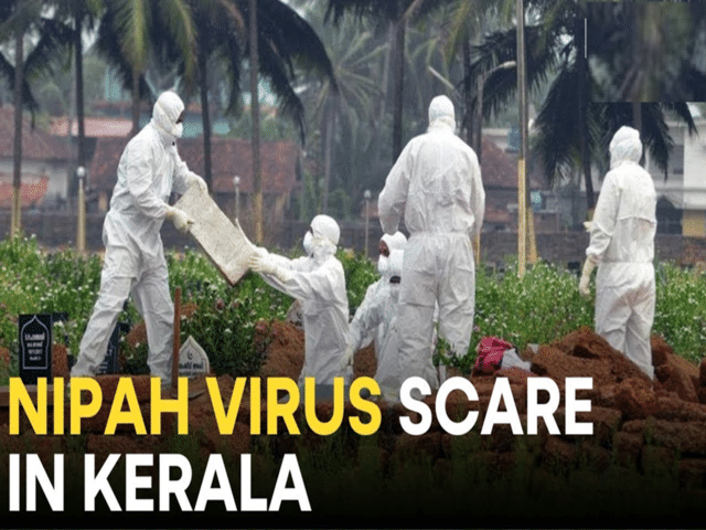 Nipah outbreak in Kerala: Nipah virus hits Kerala, know how it spreads ...