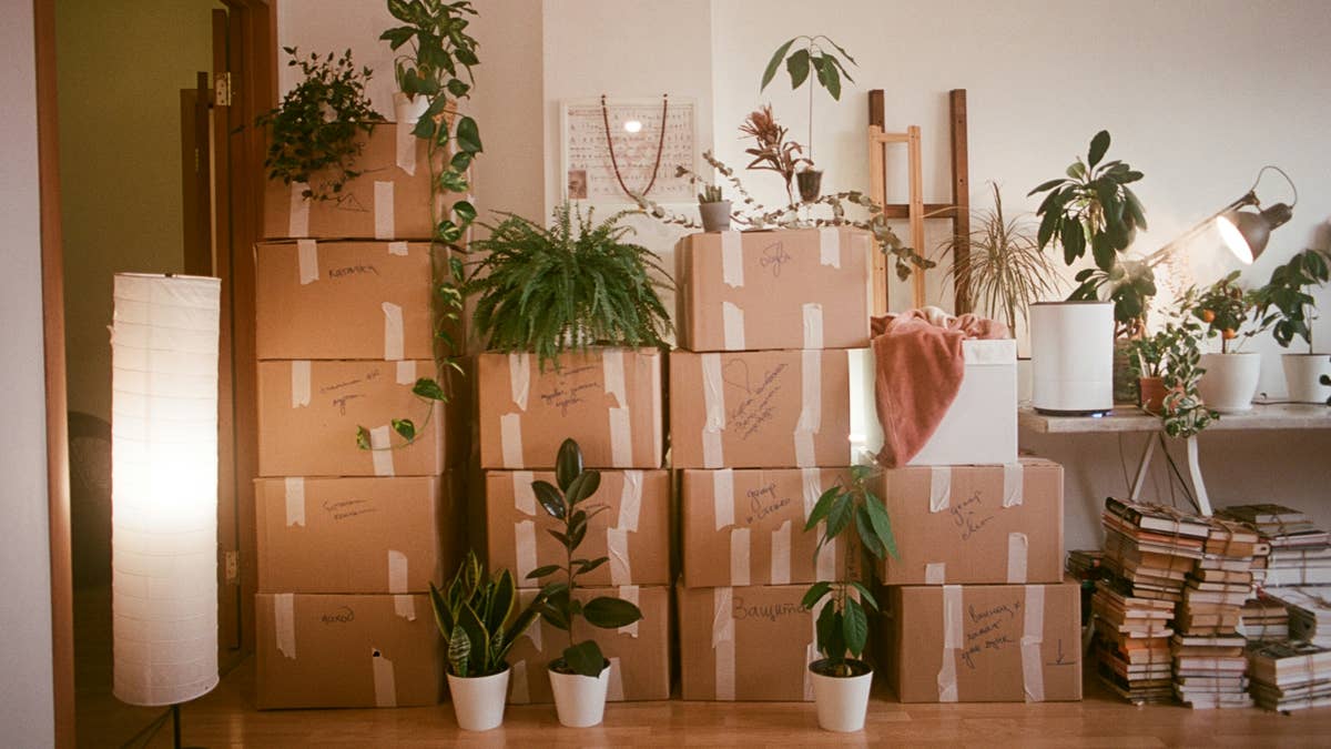 Expert warns against 5 items you shouldn't pack in a moving truck ...