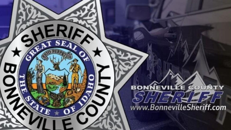 Deputies rescue 2 teens stranded on Snake River after kayak deflates