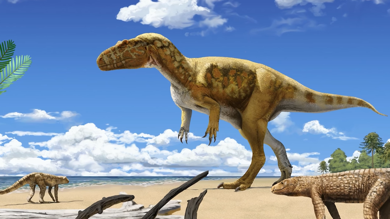 Watch what happens when a 10-meter crocodile ambushes a dinosaur at the ...