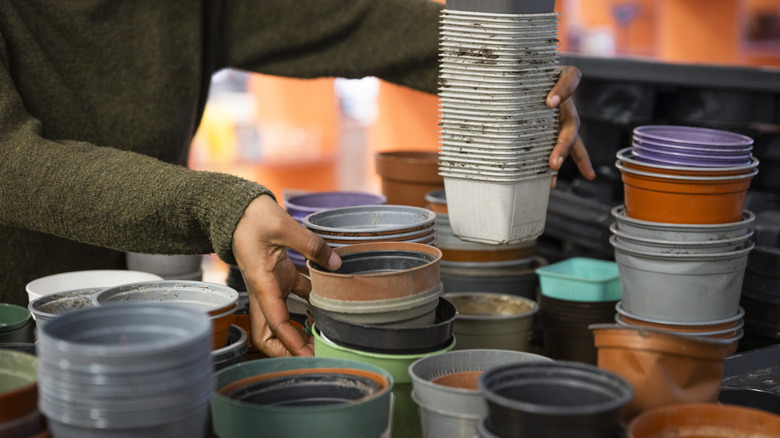 How to repurpose empty nursery pots to fill your garden with pollinators