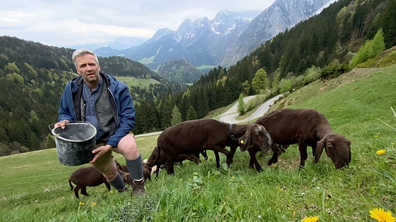 ‘Land of the fulfilled farmers’: Why the grass seems to grow greener in ...