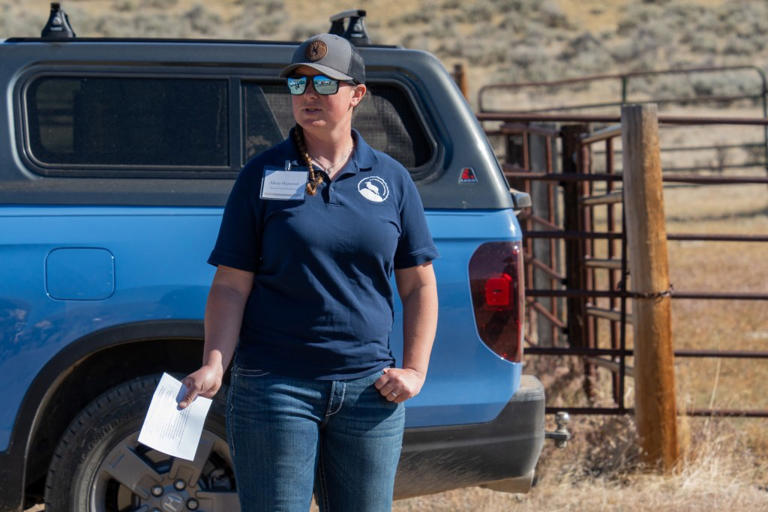 Drought delivers ‘worst case scenario’ for fire scar recovery in ...