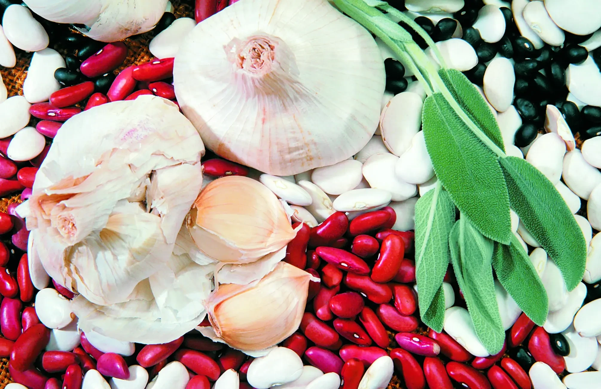 What your diet secretly says about your smell