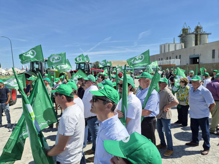 Agricoltori protestano al porto di Ravenna per il prezzo del grano