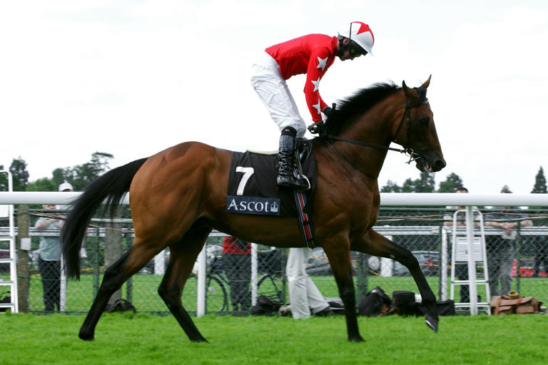 Kinane reflects on Rock of Gibraltar cementing star status at Ascot