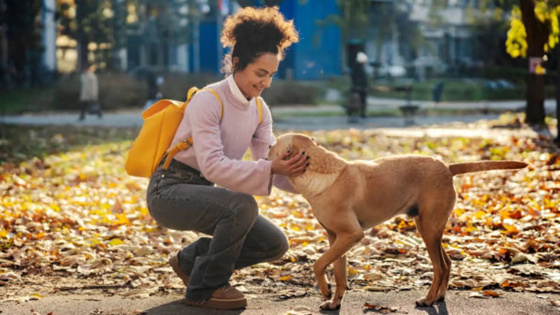 Qué significa que alguien acaricie perros en la calle, según la psicología