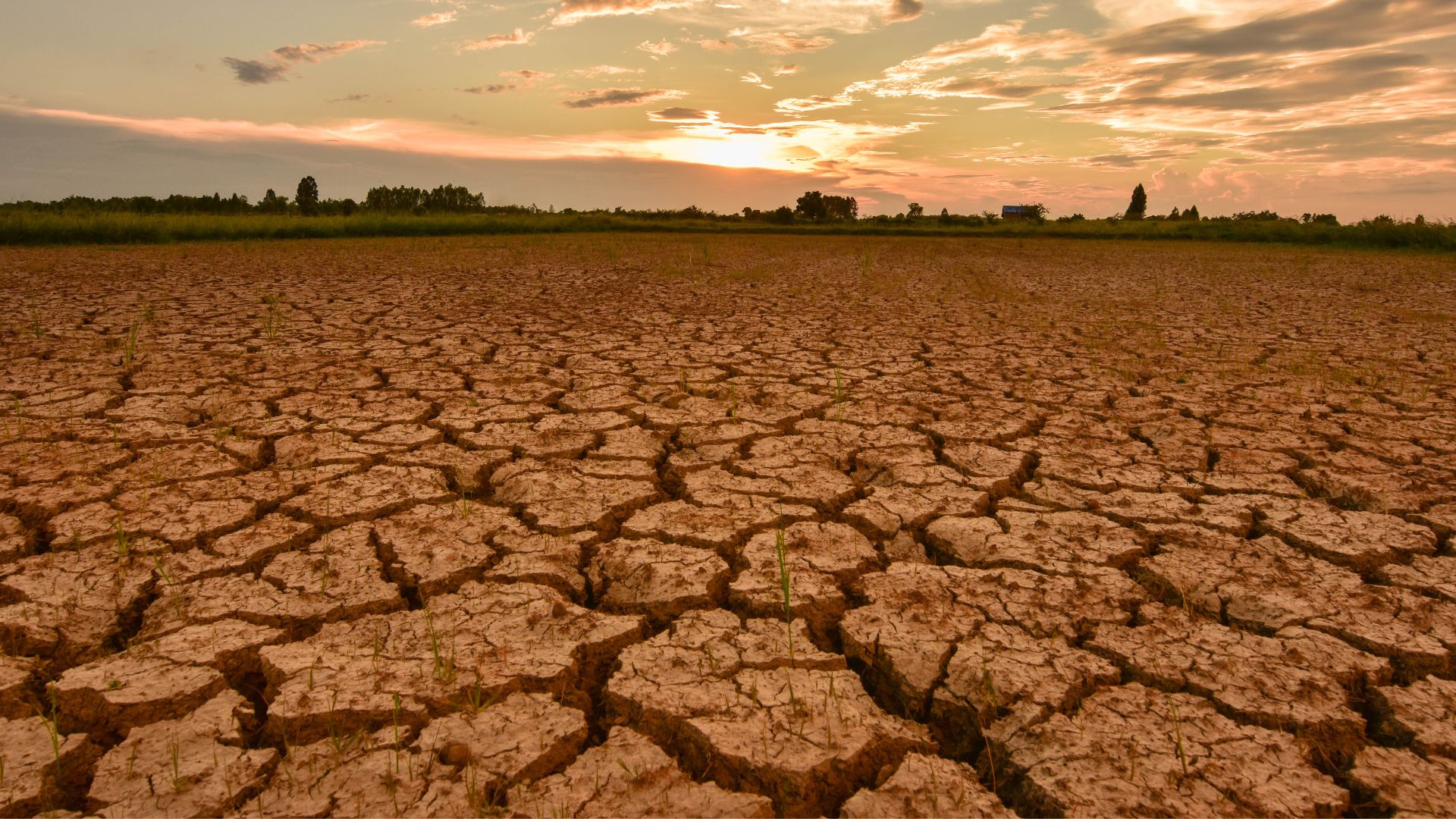 America's largest underground water supply is steadily running dry