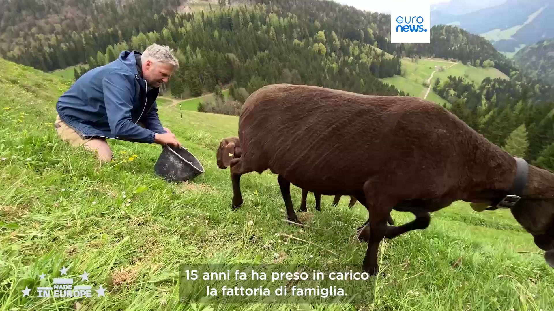 La terra degli agricoltori felici: perché l'erba sembra più verde in ...