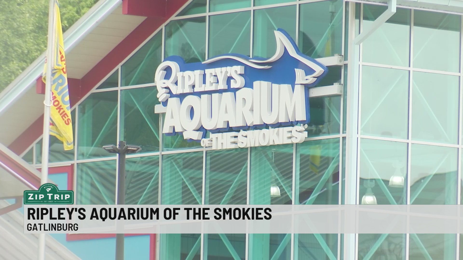 Zip Trip Great Smoky Mountains: Ripley's Aquarium of the Smokies
