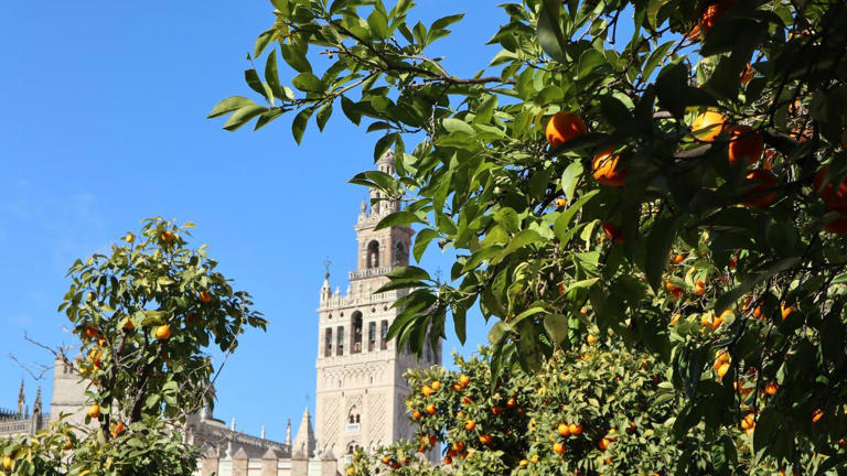 Del Alcázar al Palacio de Buckingham: renovada la tradición de las ...