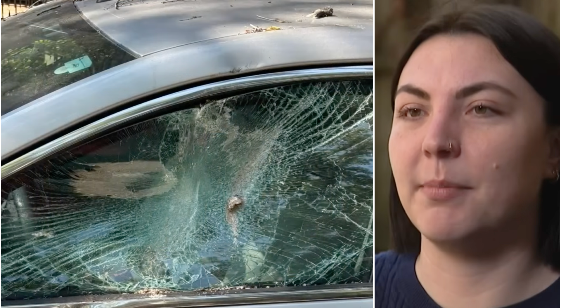 Chicago woman says it’s crazy the city won't take responsibility for a ...