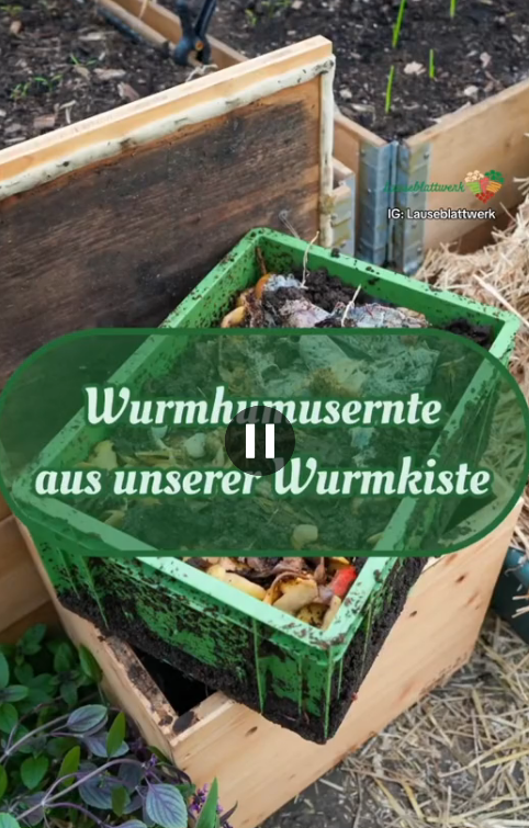 Wurmhumus selbst herstellen und nutzen
