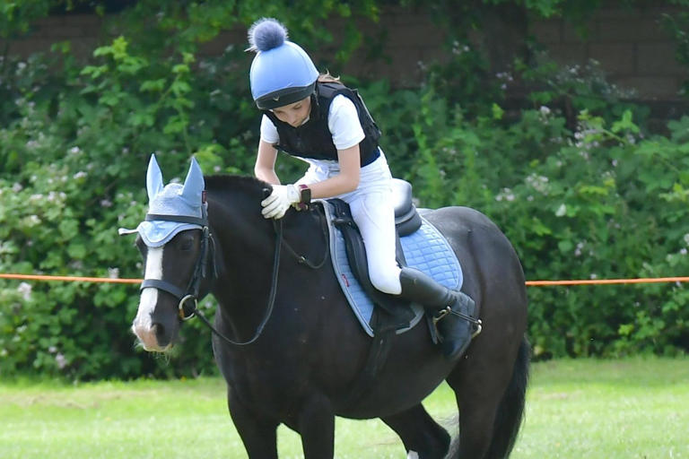 'A huge thank you' - Annual horse and dog show in Boston passes ...