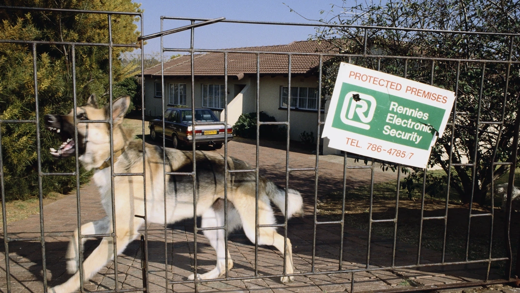 8 powerful guard dog breeds for protection and companionship