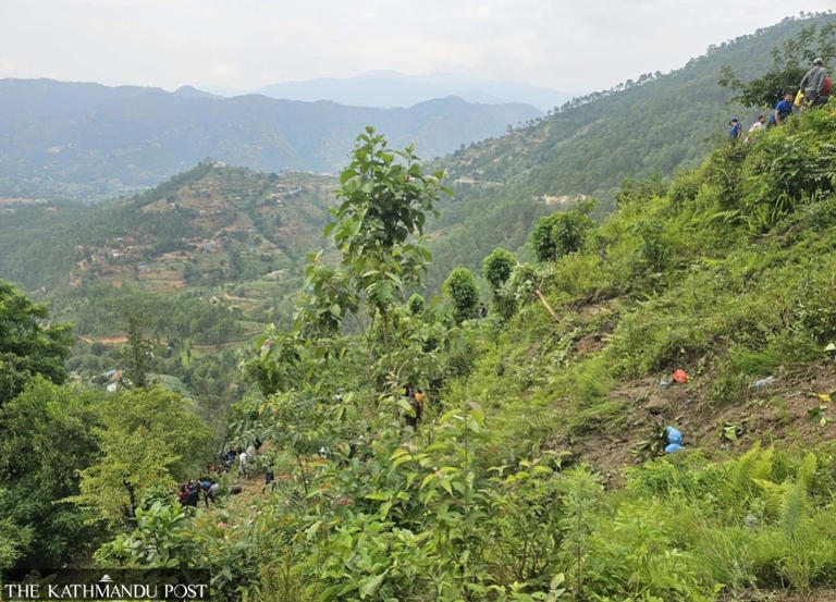 Seven killed in bus crash in Namobuddha, Kavre