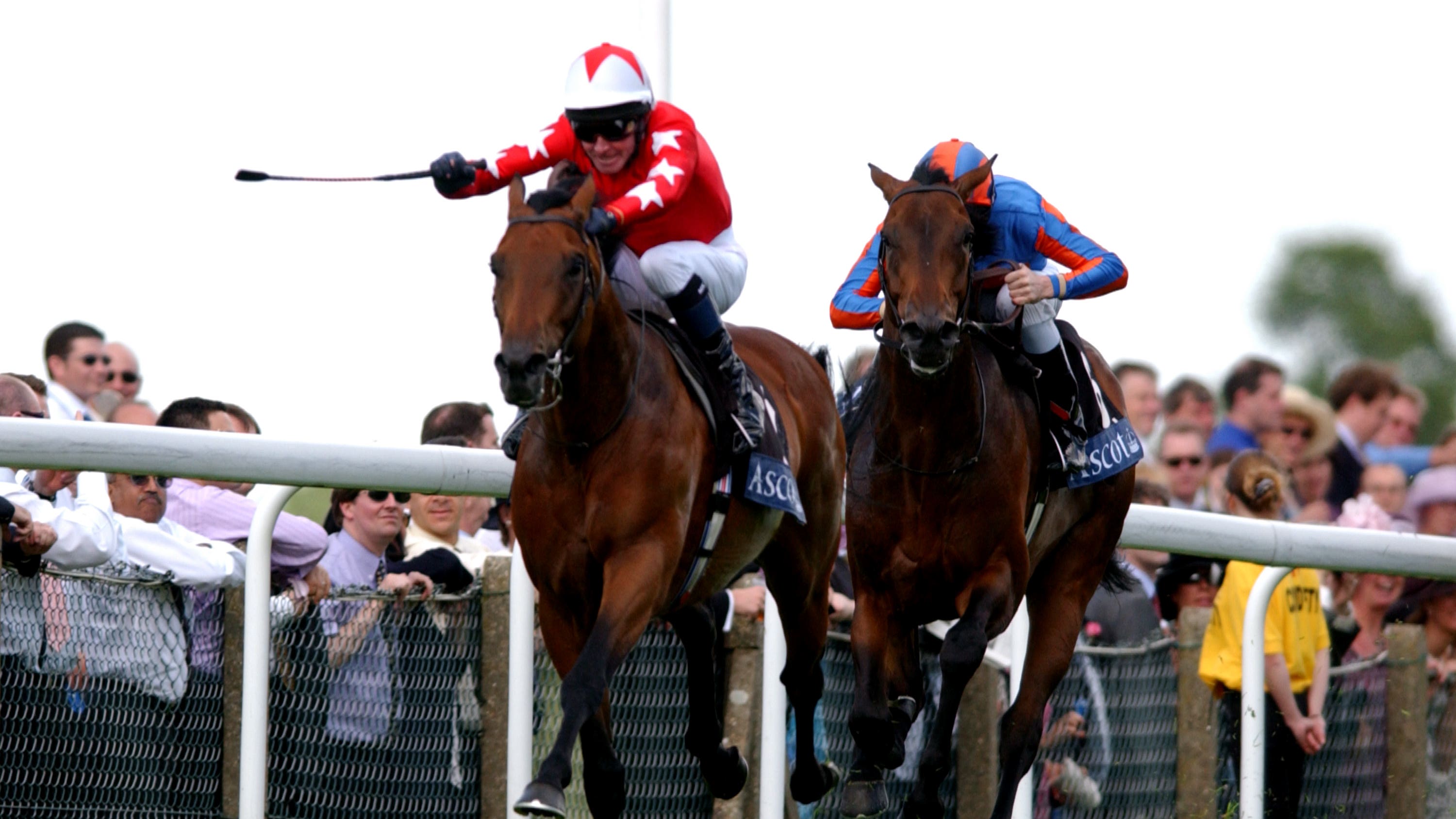 Kinane reflects on Rock of Gibraltar cementing star status at Ascot