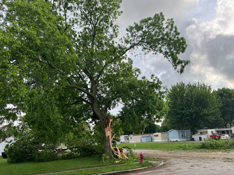 Damage, outages reported in Celina after Thursday storms