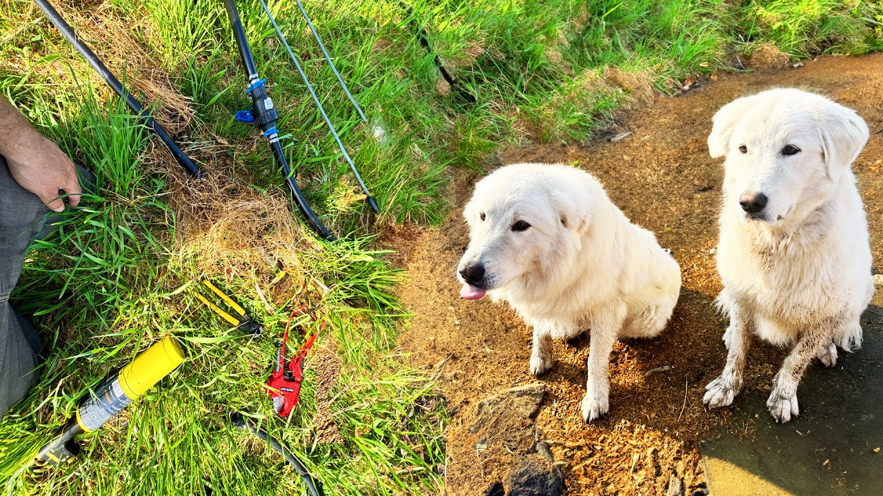 Discover what challenging daily tasks keep the farm running smoothly