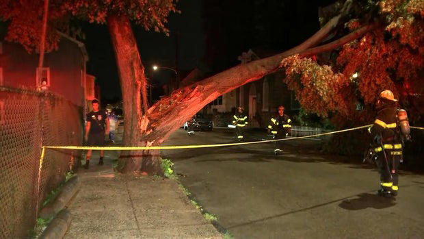 Storms topple trees, knock out power in Philadelphia's Mount Airy ...