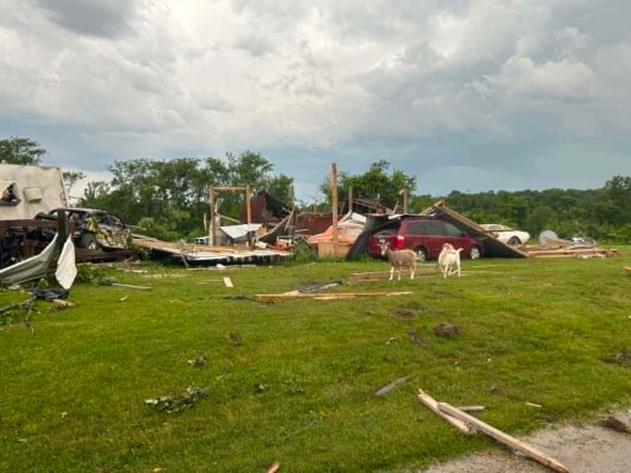 Updated: Thousands without power as powerful storms knock down lines, trees