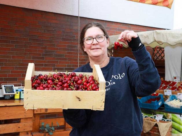 Kirschbäume in Witzenhausen hängen voll – doch Regen könnte Ernte schaden