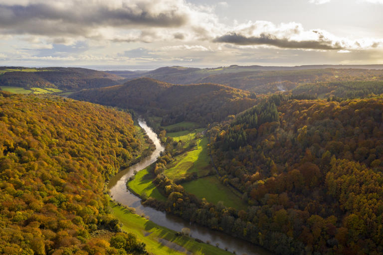 The River Wye recognised as living ecosystem in UK first: here's why it ...